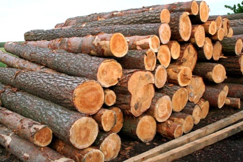 Trio-Holz-Energie - Bauholz